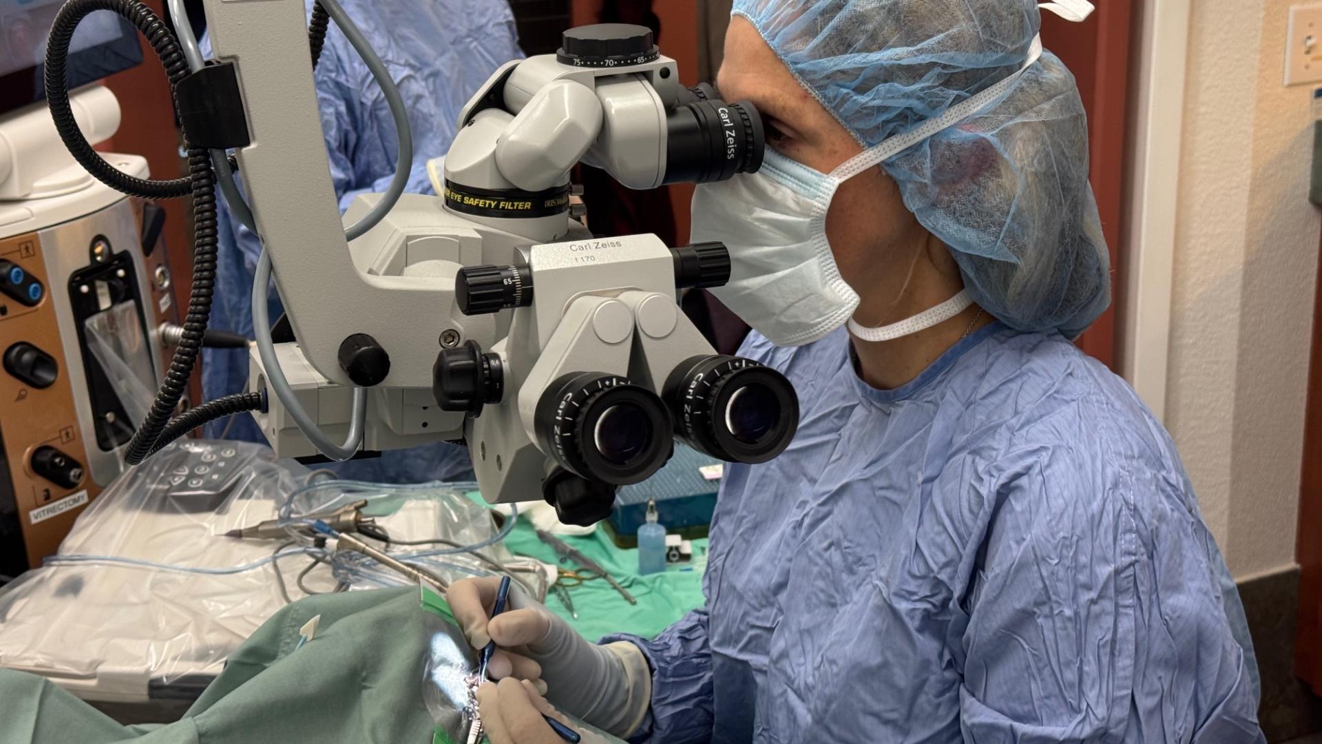 Wolverine sees brighter future after groundbreaking eye surgery | wwltv.com
