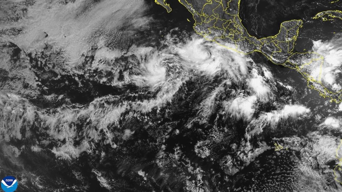 Krewe of Muses parade route and time 2025 | wwltv.com