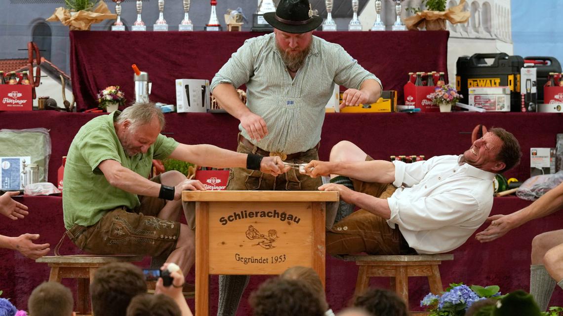 Runaway Dog Scrim Captured in New Orleans After Months on the Run ...