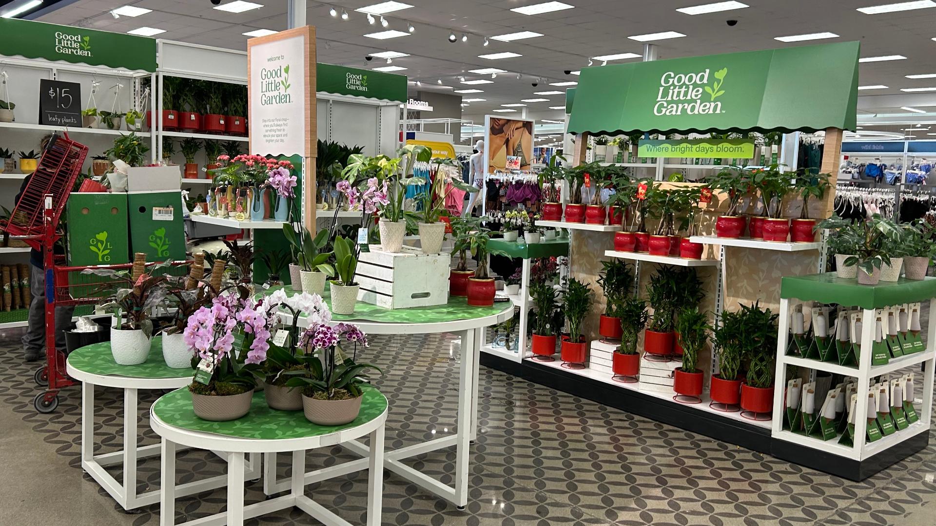Target is lowering prices on over 3,000 products this spring | wwltv.com