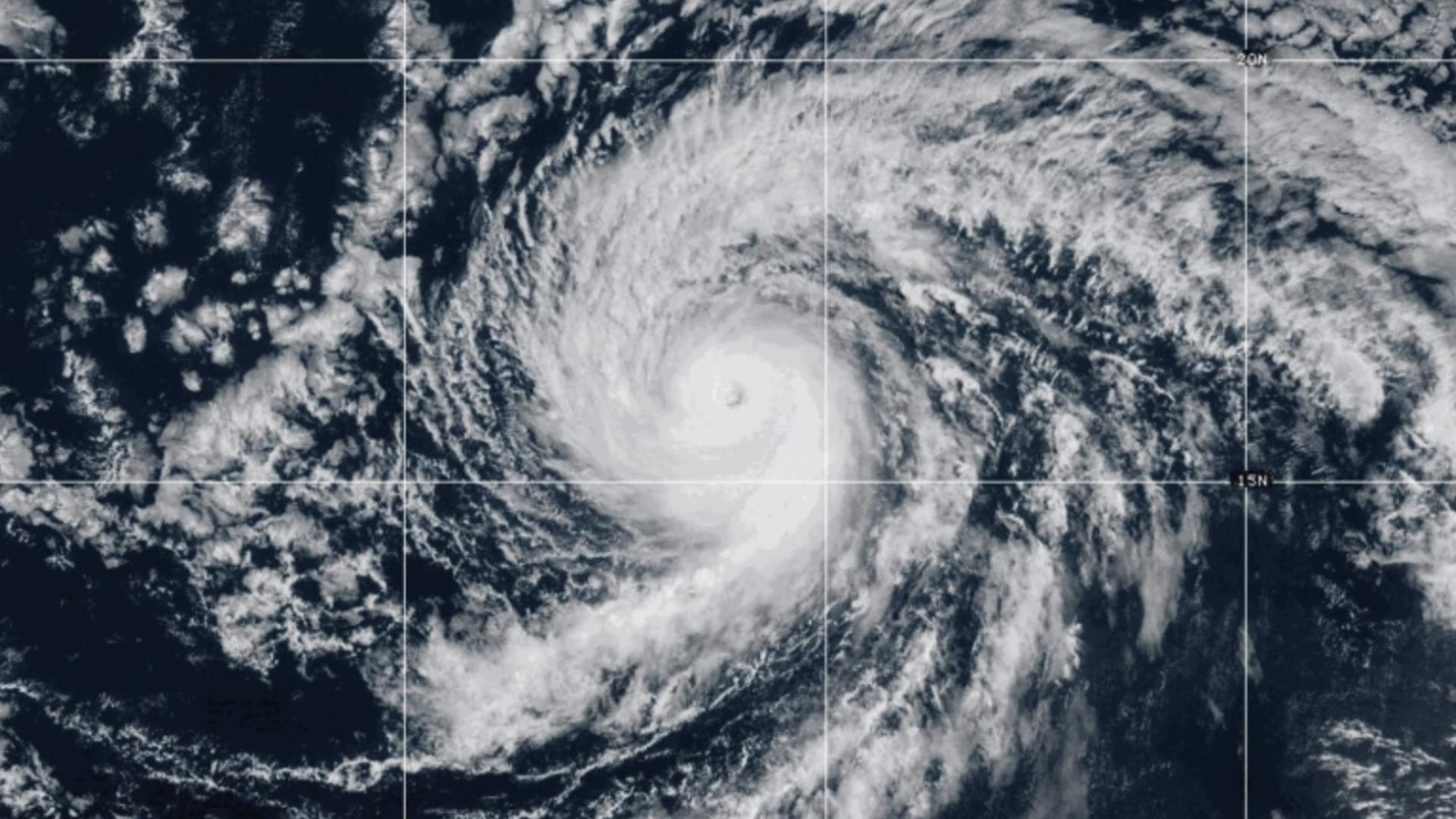 The Times-Picayune | The New Orleans Advocate to debut Monday | wwltv.com