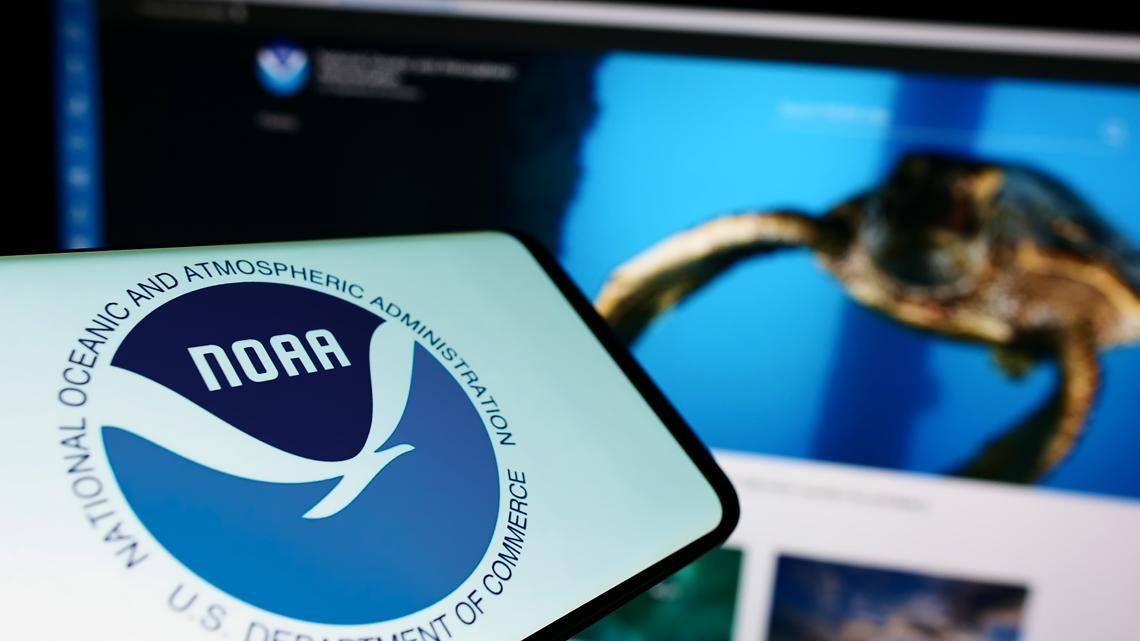 Former New Orleans Councilman Jay Batt dies at 64 | wwltv.com