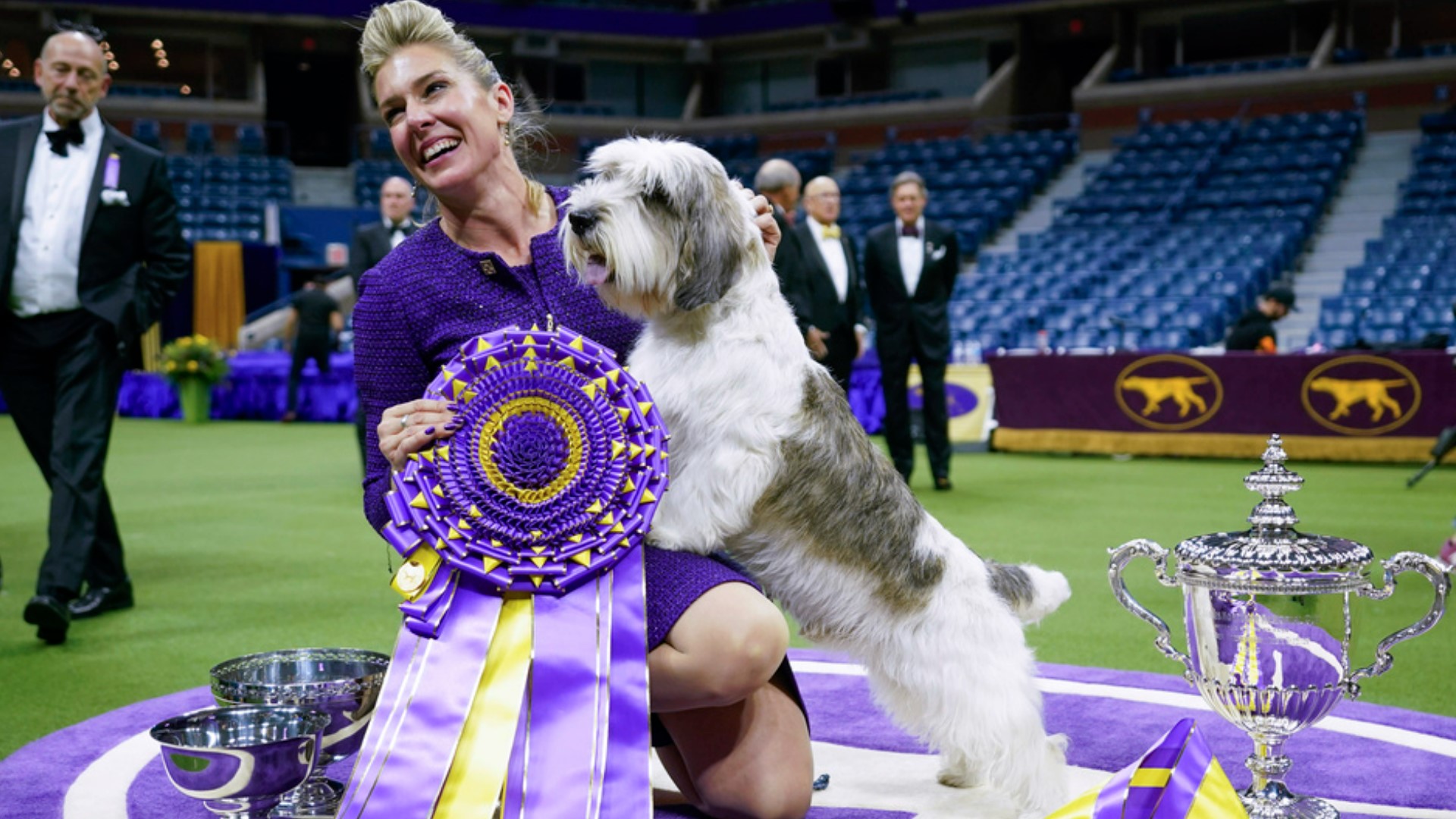 Westminster Kennel Club dog show 2023: See pics | wwltv.com