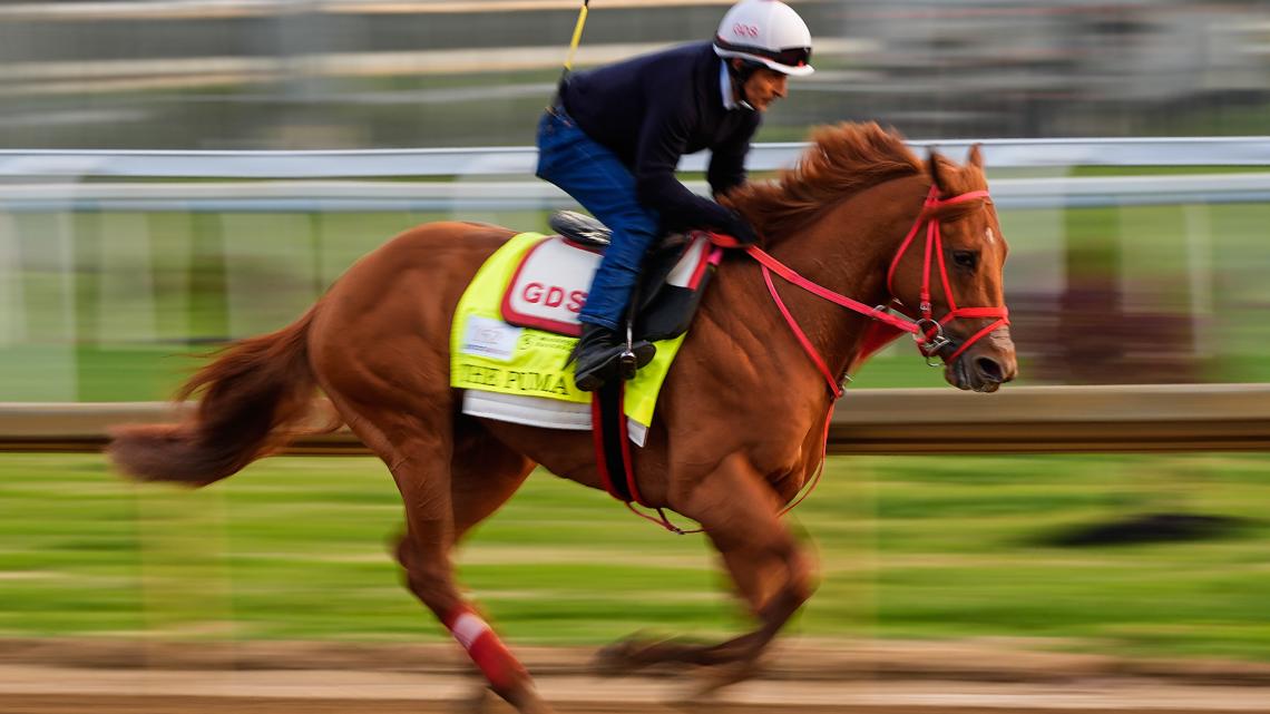 Only 18 horses racing in the Kentucky Derby after last-minute scratch ...