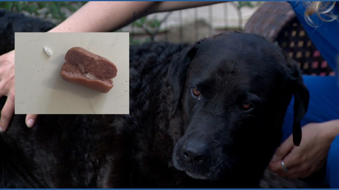 Random meth-laced hot dogs poison family pets at Colorado home | wwltv.com