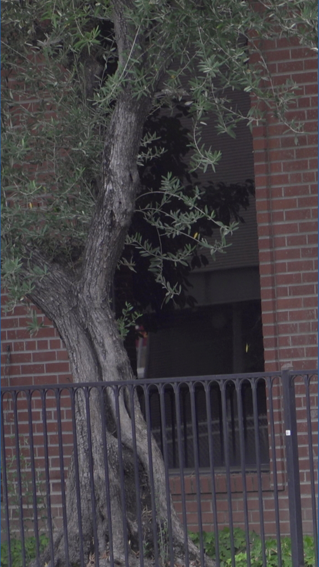 Sacramento ABC station hit by gunfire | wwltv.com