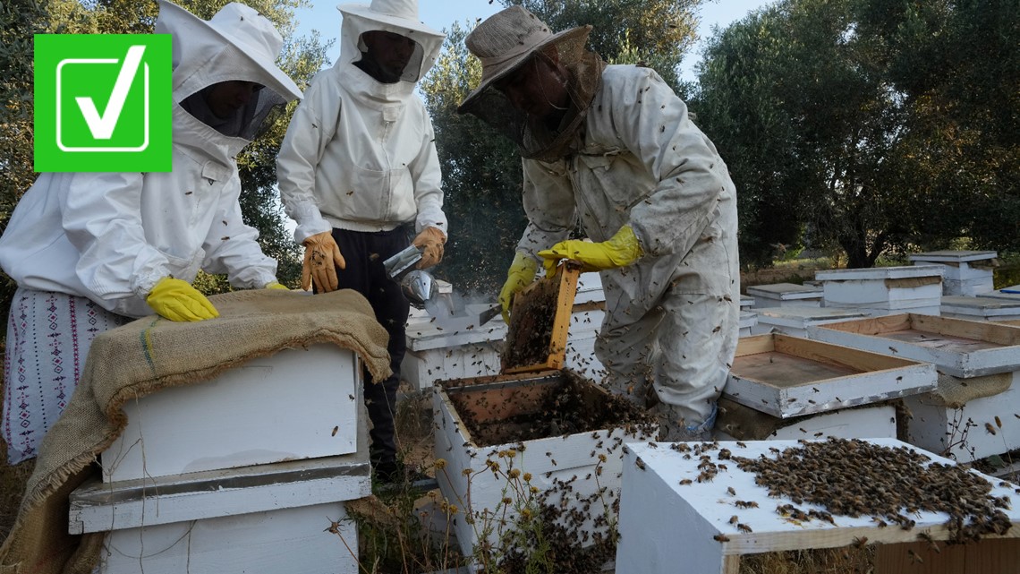 ‘Telling the bees’ is real beekeeping, not royal, tradition | wwltv.com