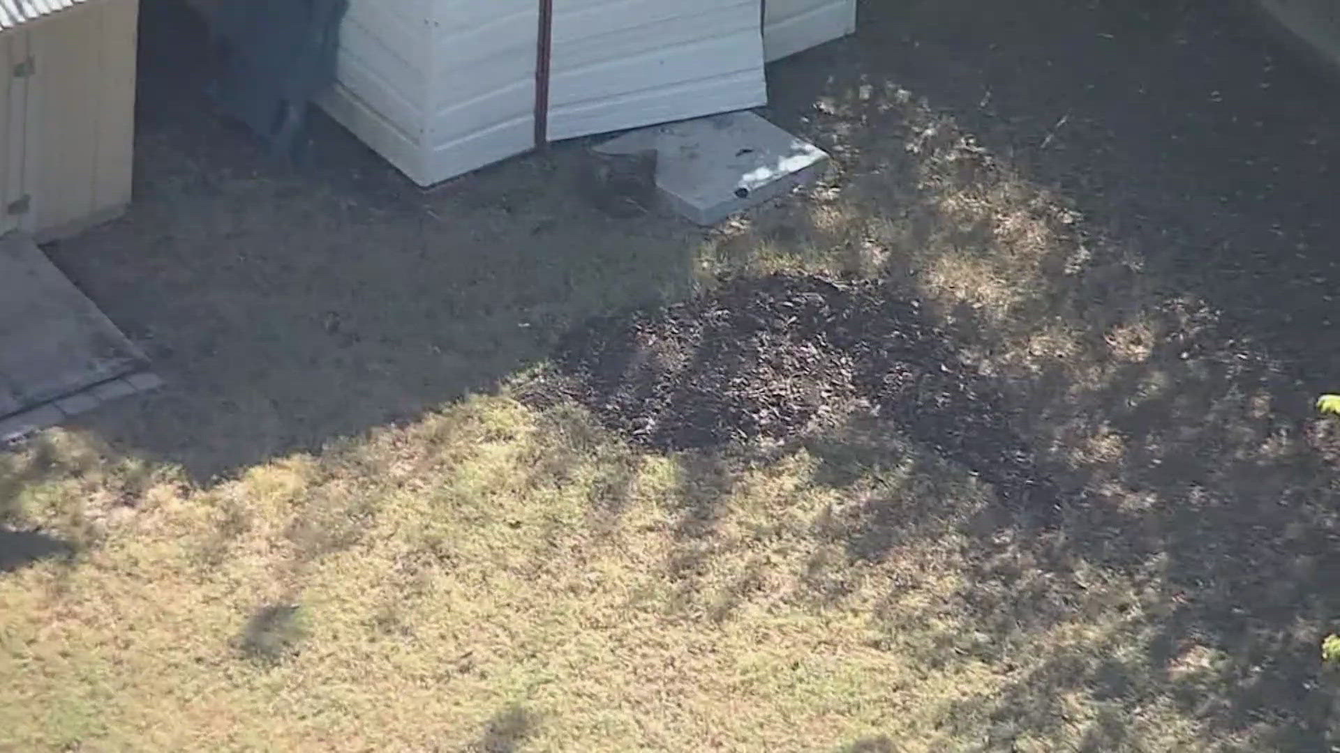 Mother, stepfather arrested after police found son buried in backyard ...