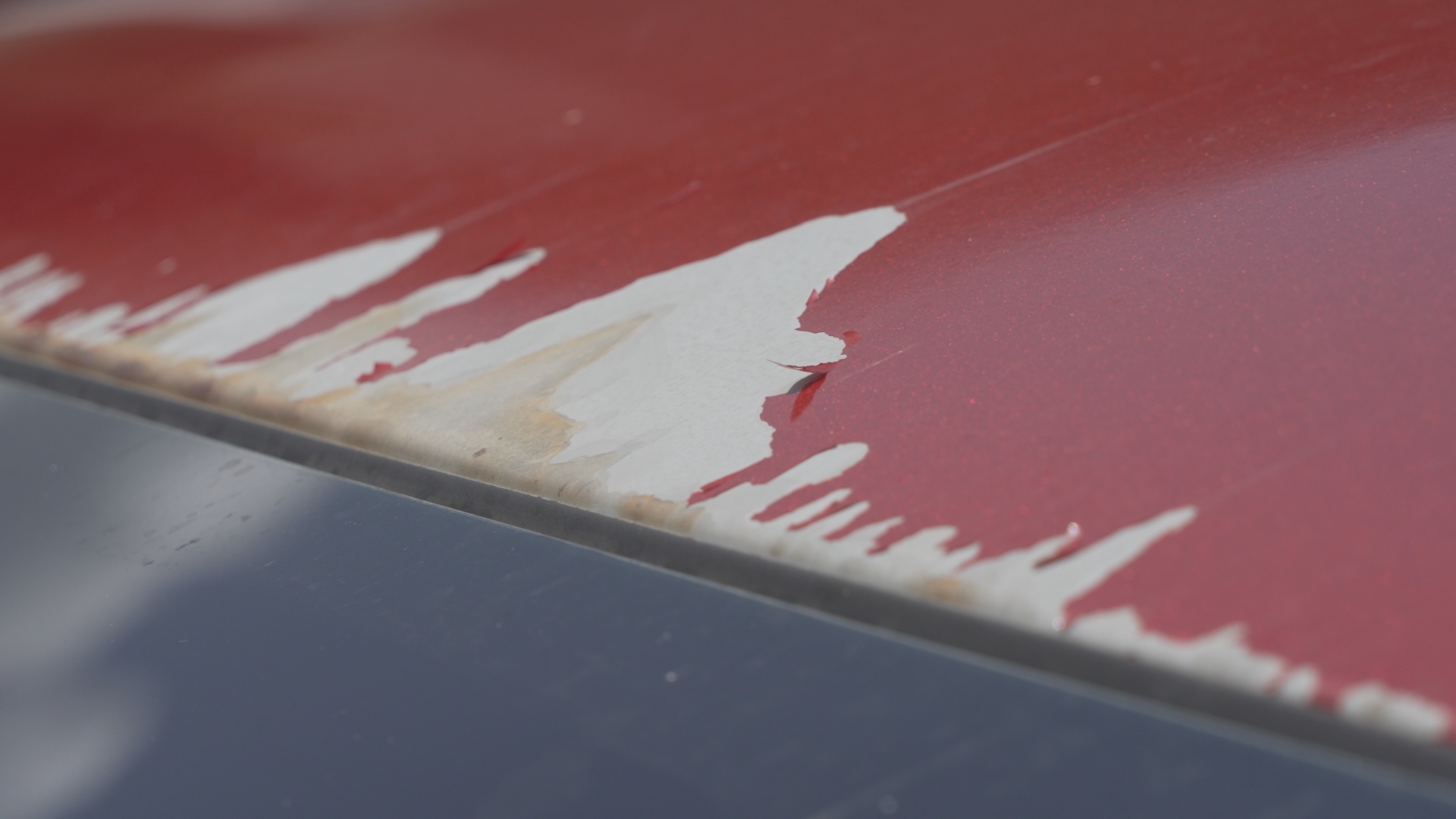 Car paint-peeling problem affecting thousands in Florida | wwltv.com