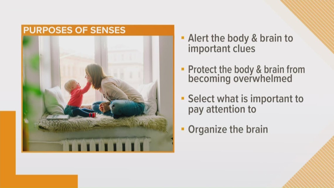 Understanding Sensory Needs | wwltv.com