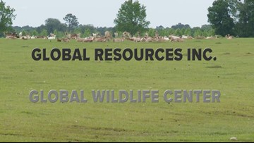 My54 WUPL-TV | WWLTV.com