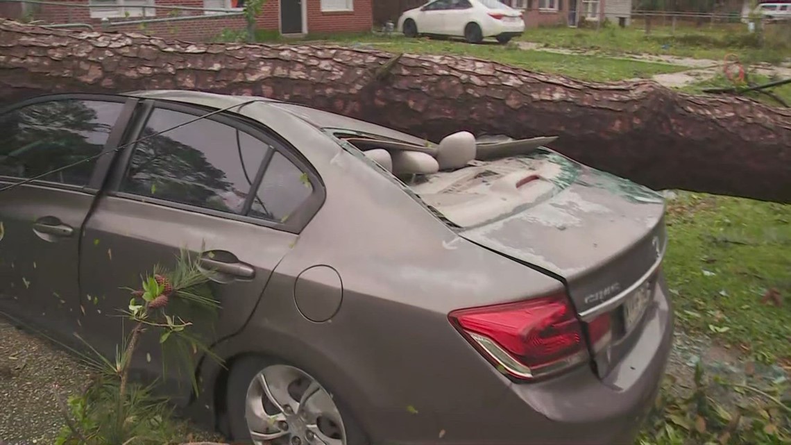 Tree crushes car in Slidell near Pontchartrain Drive | wwltv.com