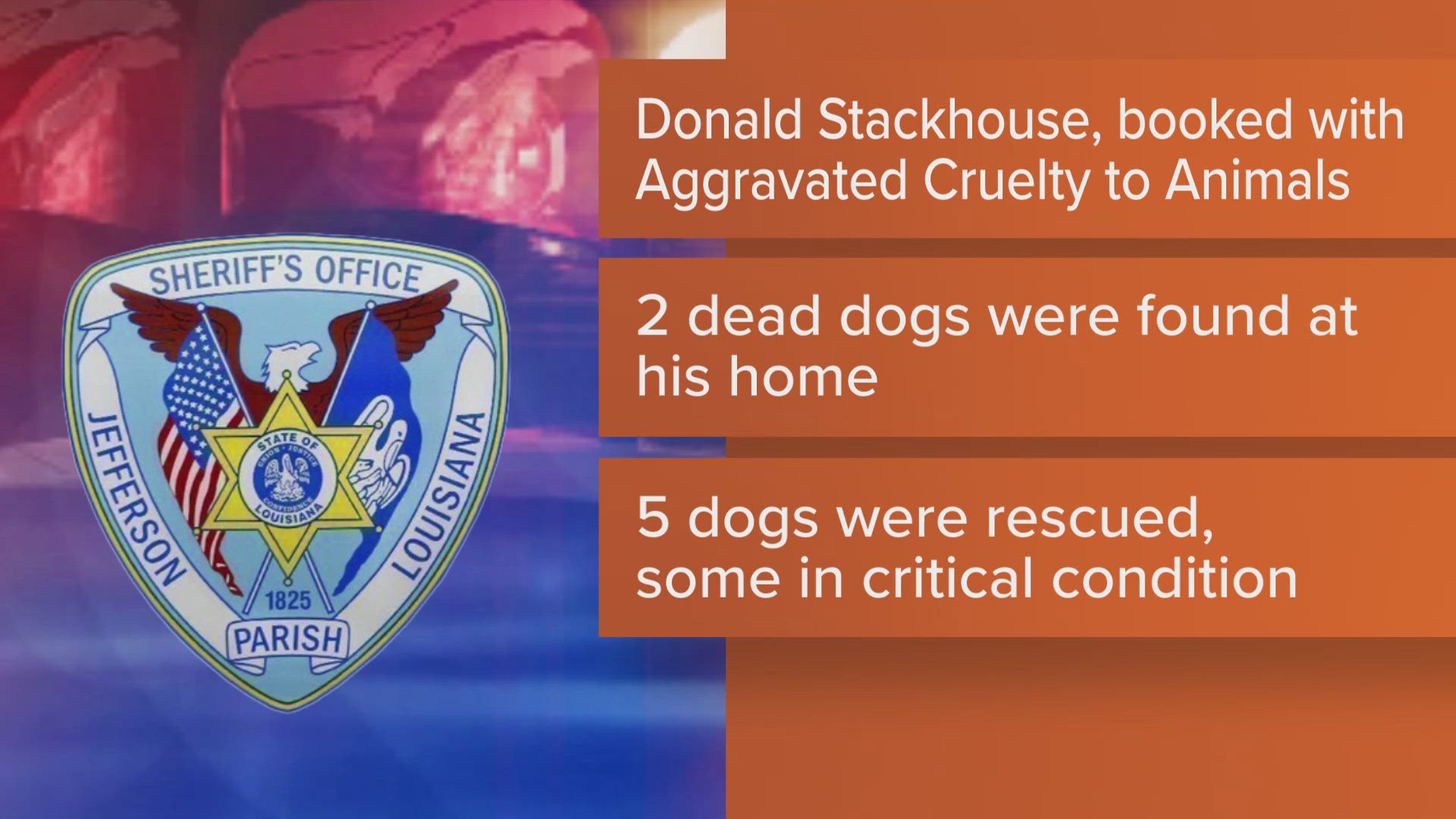 Man charged after 2 dead, 5 starving dogs found in Avondale yard, sheriff says | wwltv.com