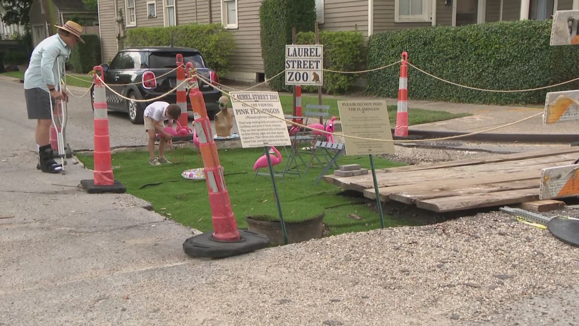 New Orleans Neighborhood Creates Playful ‘Zoo’ in Long-Standing Pothole ...