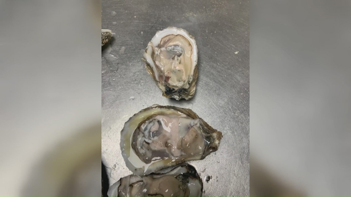 'Very tough to clean up': Oil from LOOP spill remains along coastline ...