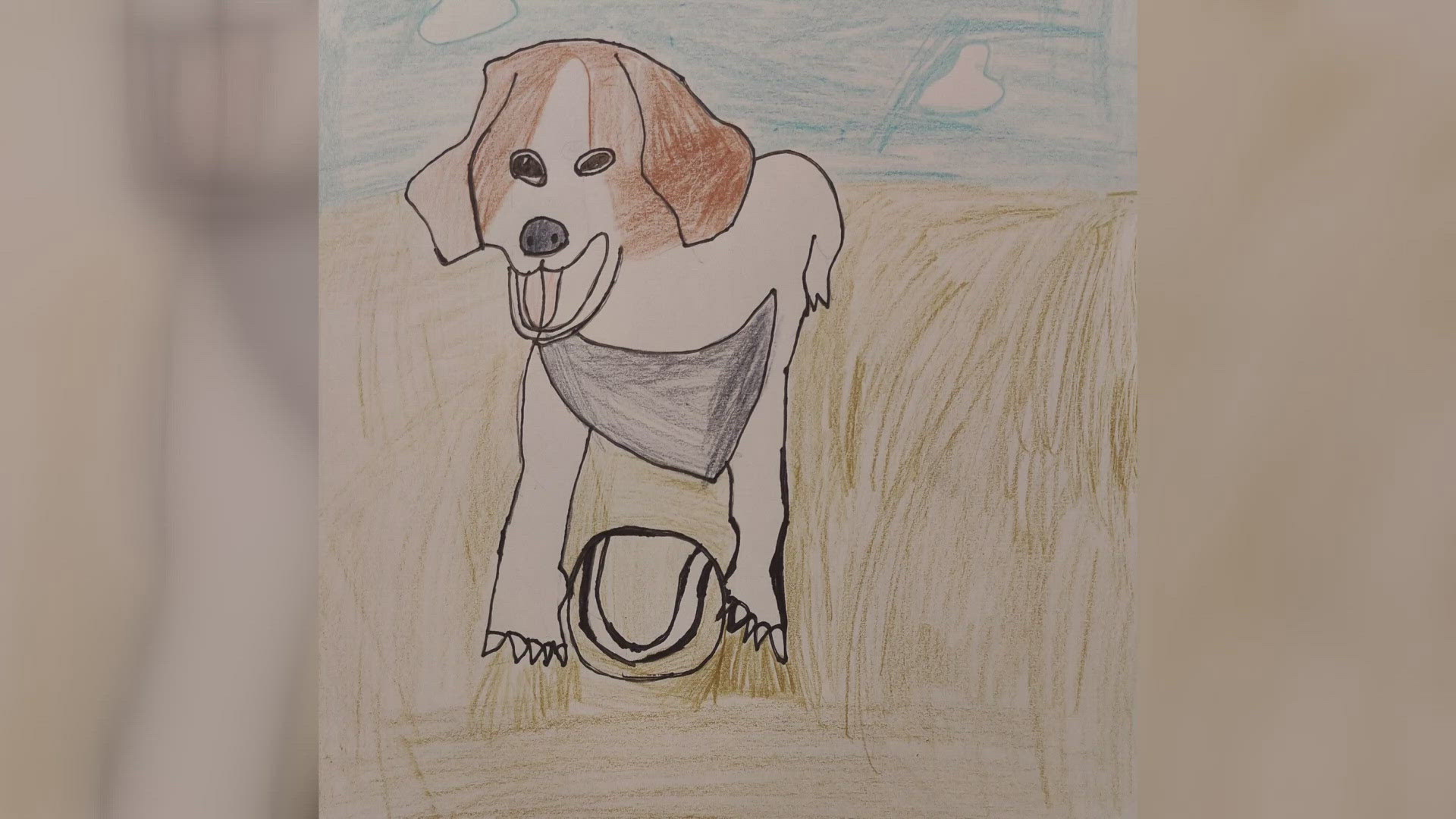 Elmwood animal shelter raises thousands with 'Poorly Drawn Pet ...