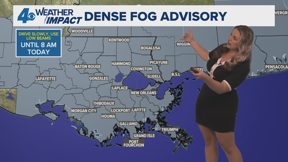 Weather Impact Alert: Dense Fog Advisory issued for Southeast Louisiana ...