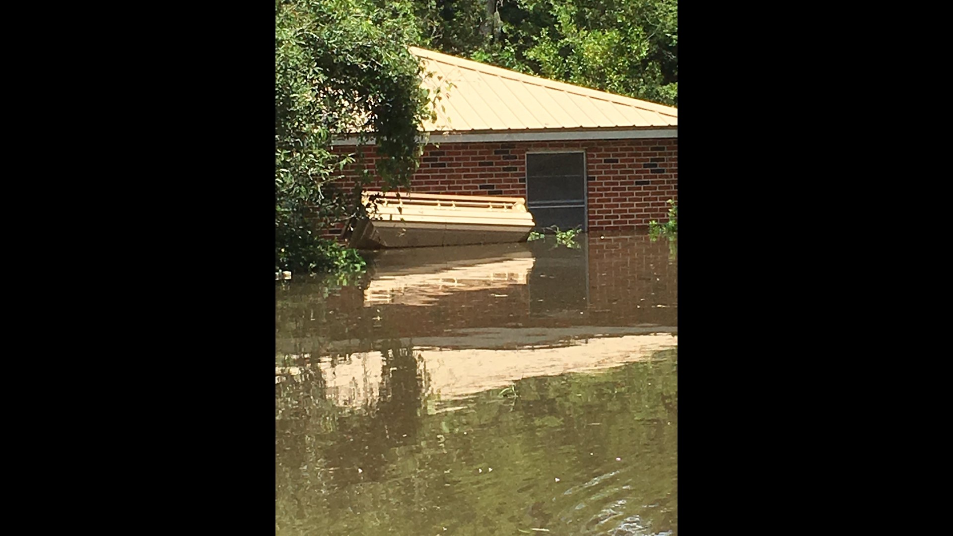 Photos: Floating caskets, rescued animals, boat rescues | wwltv.com