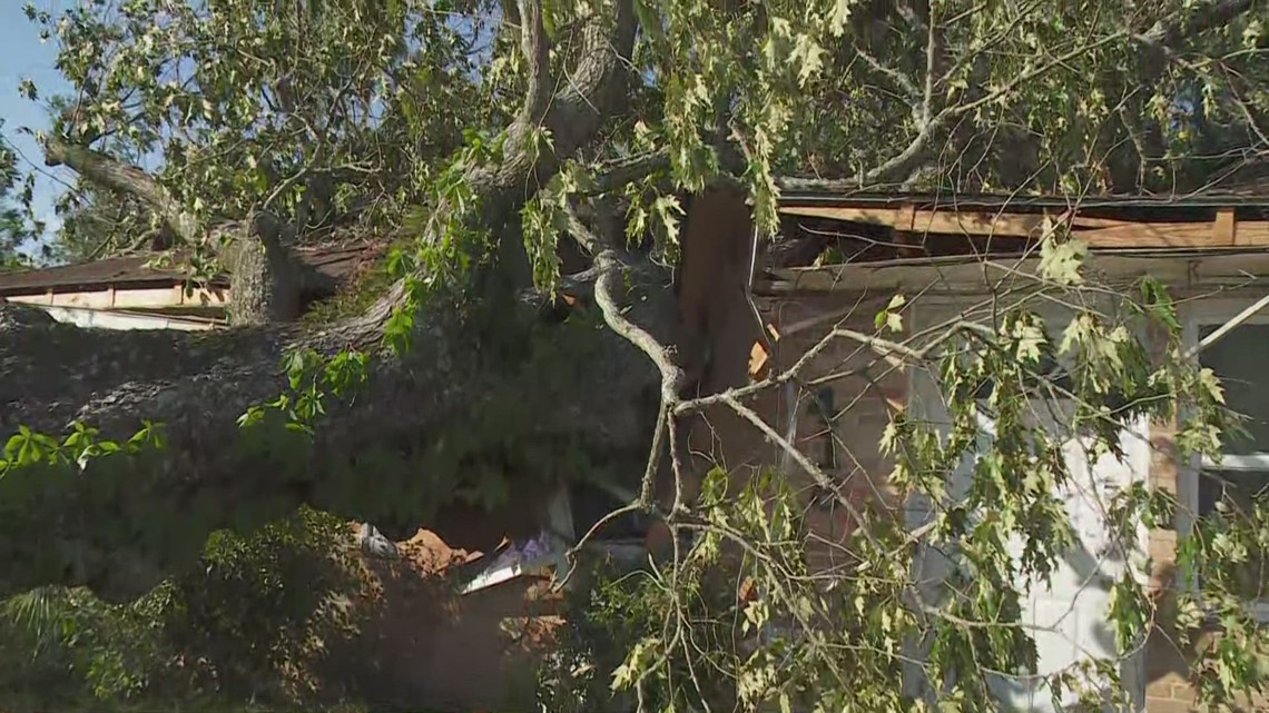 Slidell cleanup focuses on fallen trees | wwltv.com