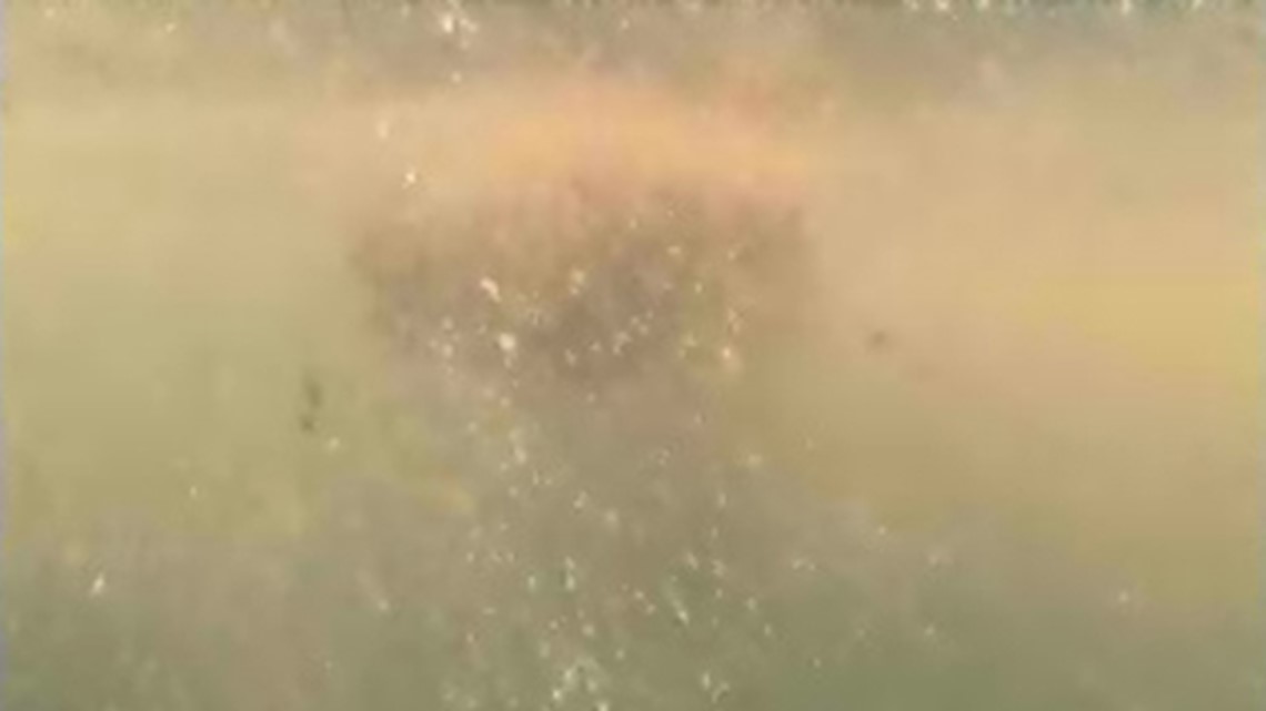 Study: 22-mile long oil plume lurks far below surface of Gulf | wwltv.com