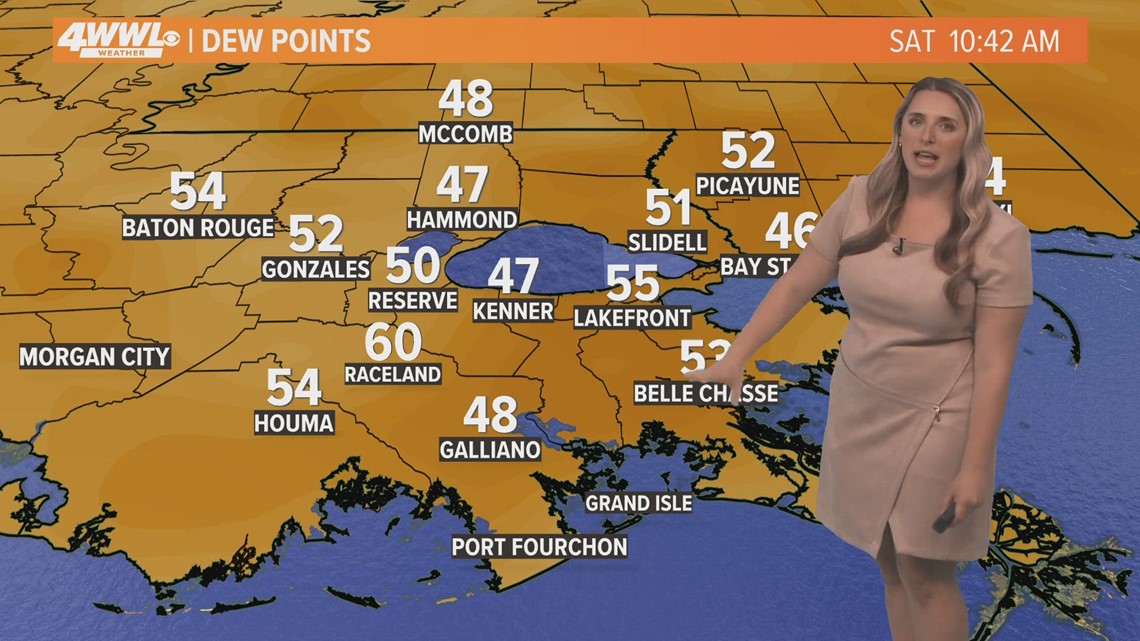 Full weather forecast Sat. April 13, 2024 | wwltv.com