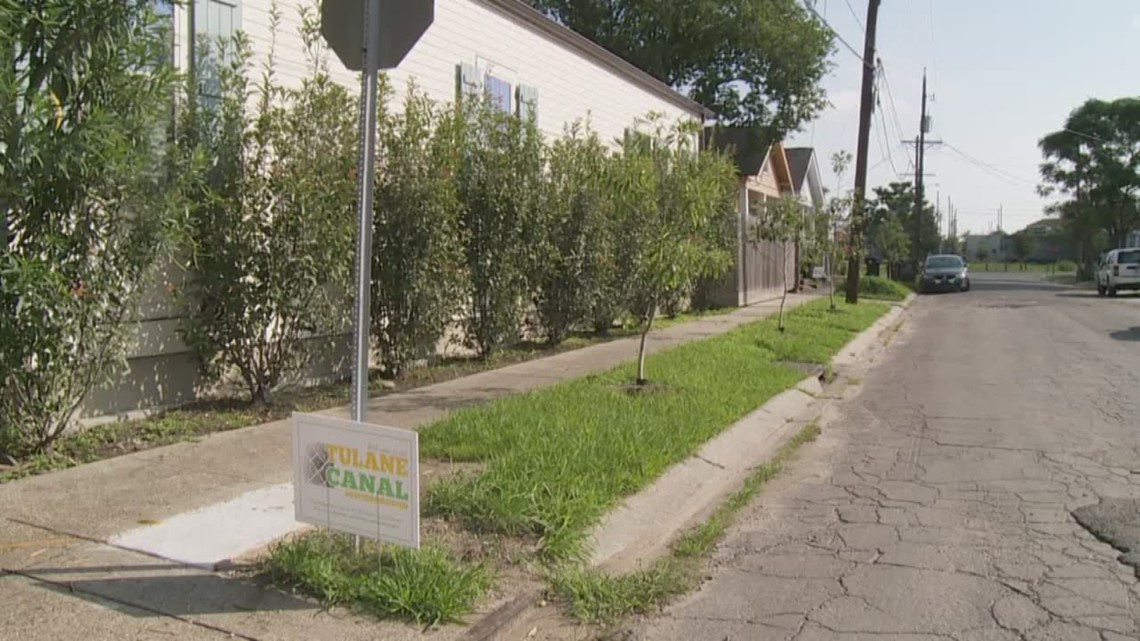 SOUL NOLA working to plant more trees to prevent severe flooding ...