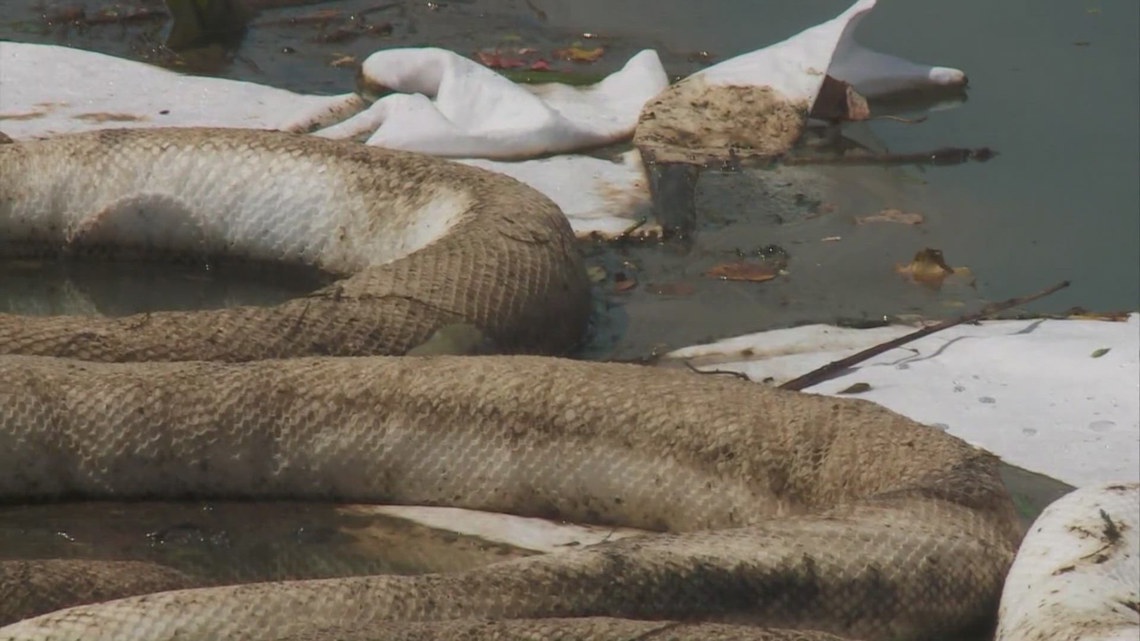 Independent tests reveal hazardous pollutants at 40 sites; town hall ...