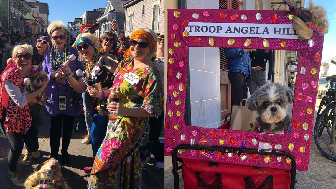 'Troop Angela Hill' shows love to WWL-TV legend at Krewe of Barkus ...