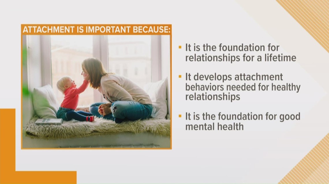 Why is Attachment Important? | wwltv.com Why is Attachment Important? | wwltv.com