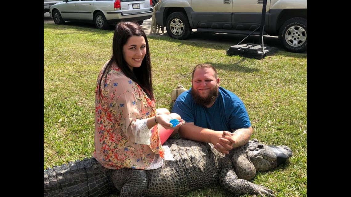 Louisiana man's alligator gender reveal video goes viral | wwltv.com