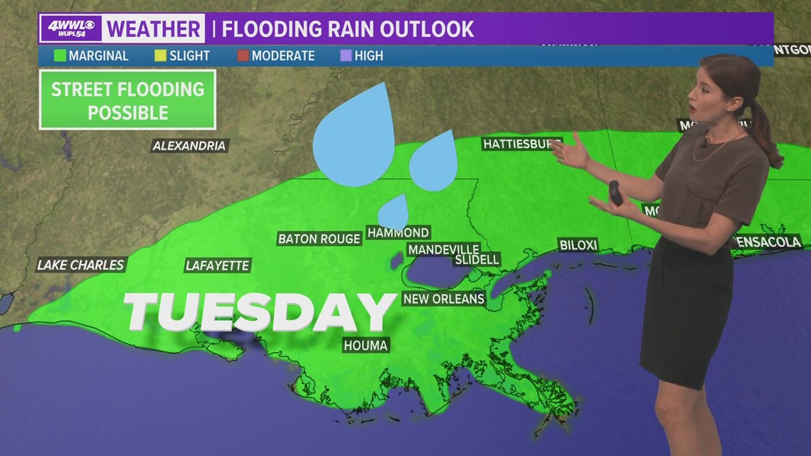 Investigators suggest felony charges for Hard Rock inspector | wwltv.com
