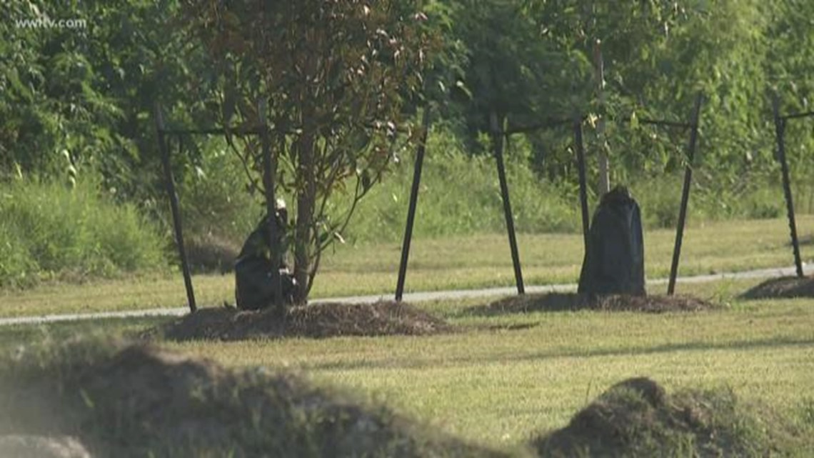 Residents near pedestrian walkway in N.O. East upset about 'Timber ...