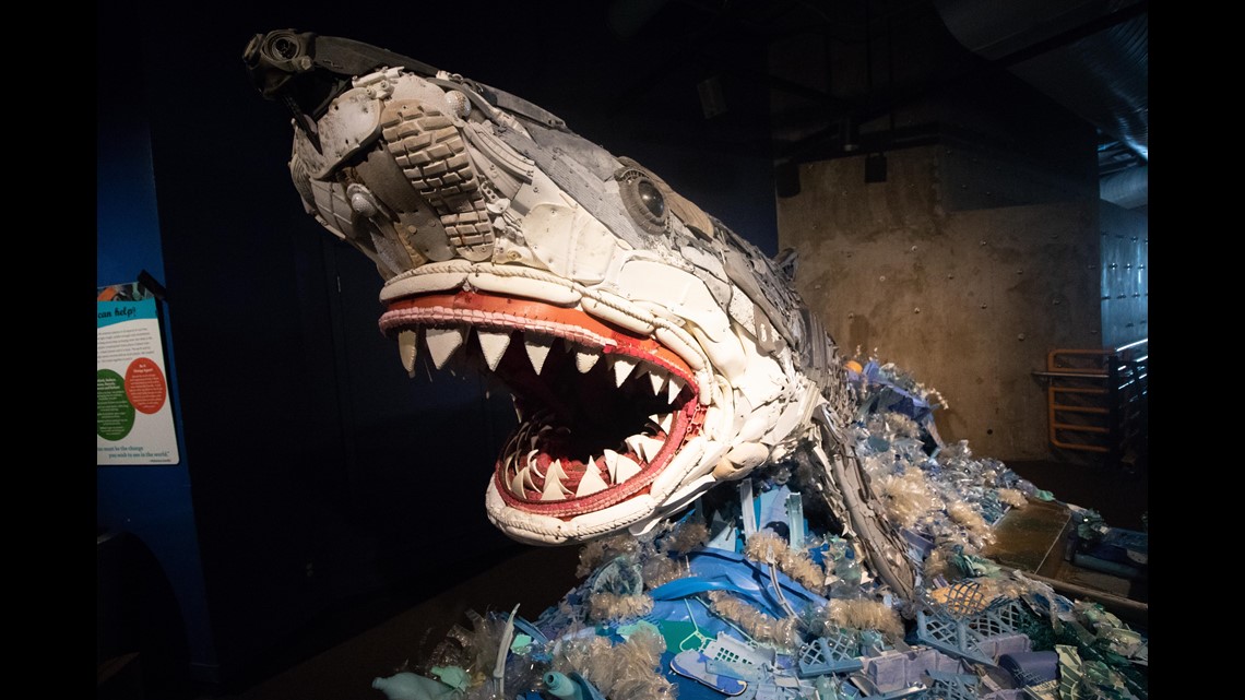 Huge sea-life sculptures made from ocean's plastic trash | wwltv.com