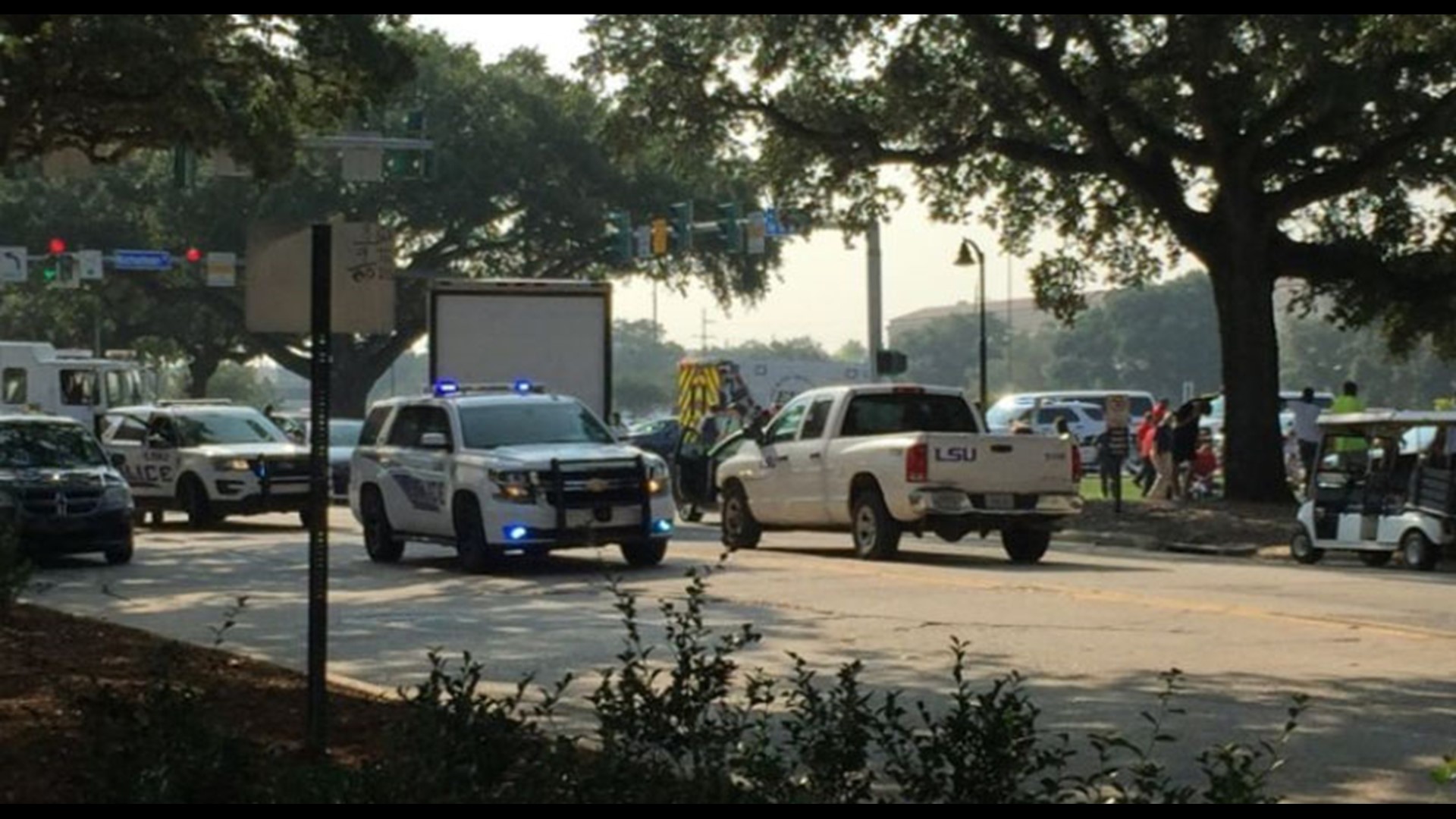 41 pedestrians struck by cars on LSU's campus over last 5 years | wwltv.com