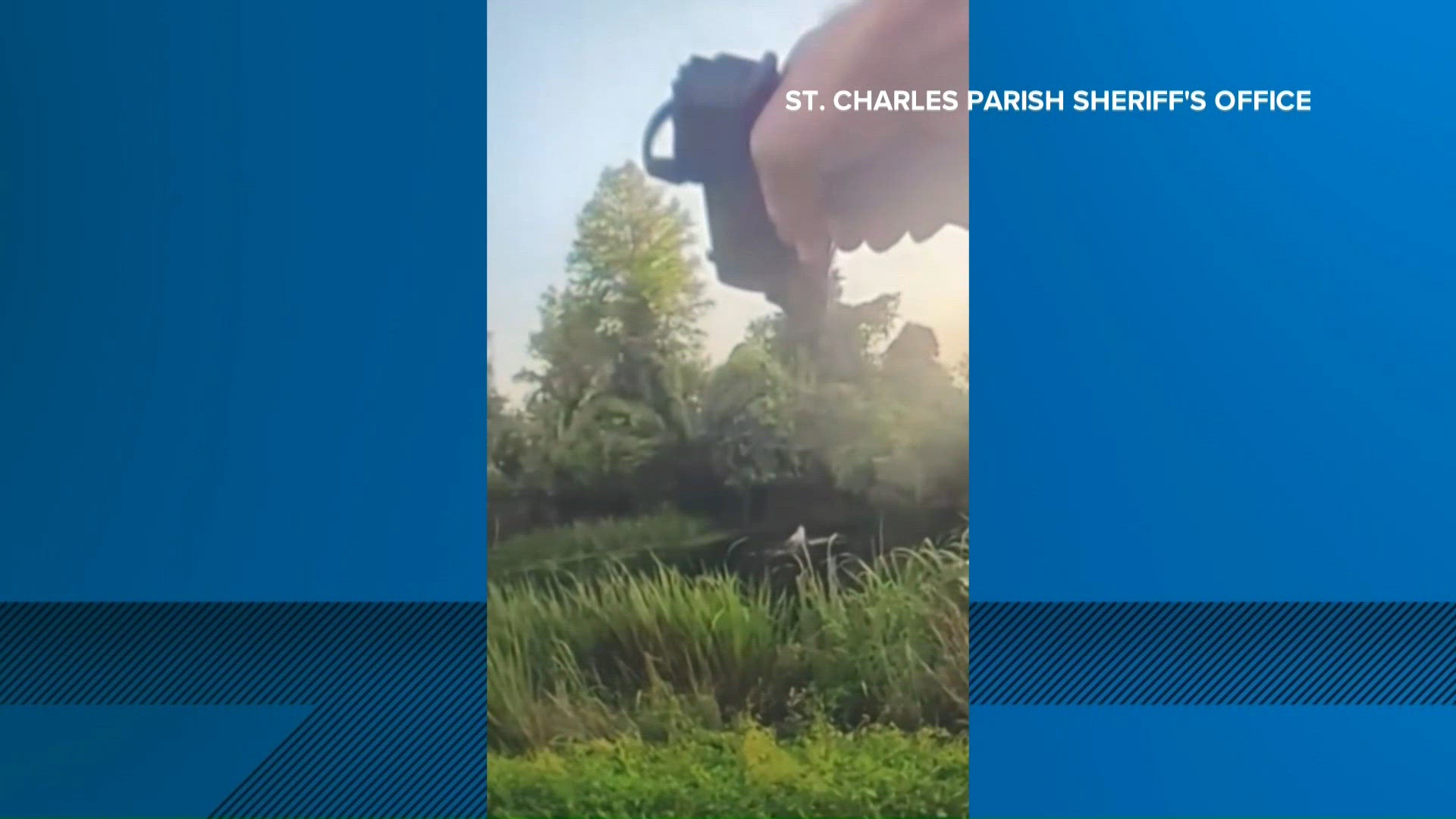 Video shows fleeing DWI suspect attacked by alligator | wwltv.com