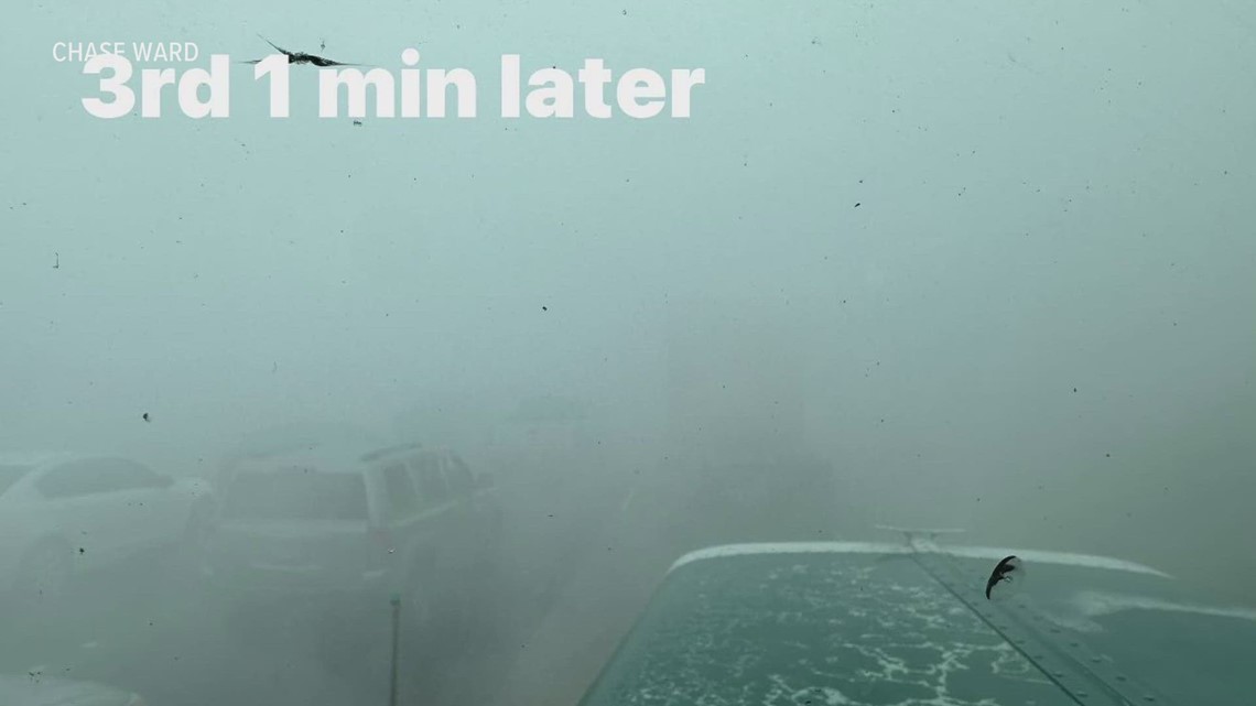 Dramatic photos show that during intense fog, a few feet can make a ...