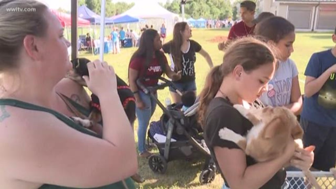 Animal shelters prepare to assist with Hurricane Michael animals ...