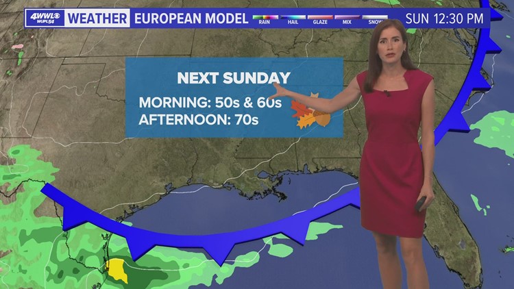 Laura Buchtel at Krewe de Paws | wwltv.com