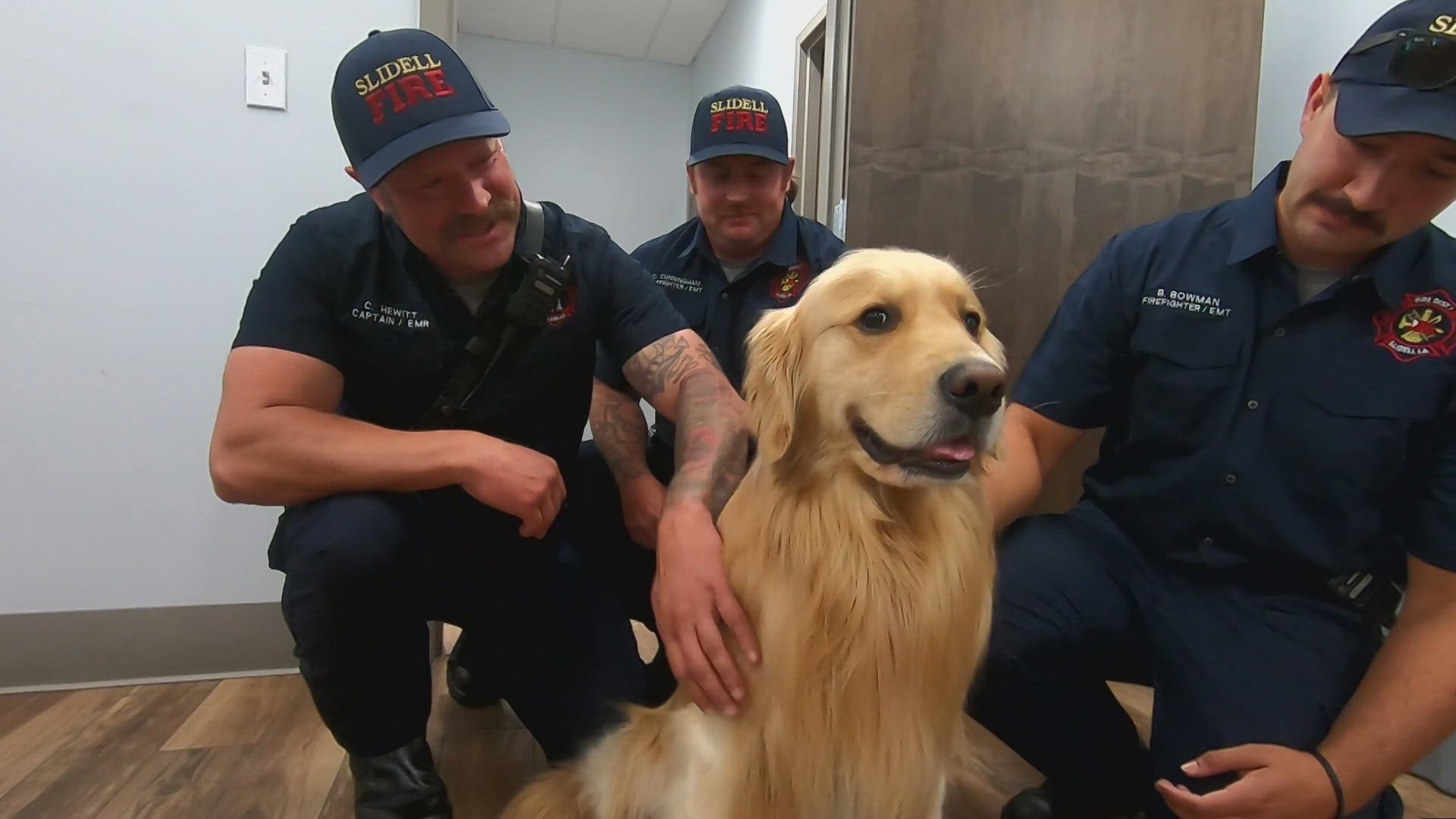 Therapy Dog Chief Mooney Supports St. Tammany Firefighters | wwltv.com