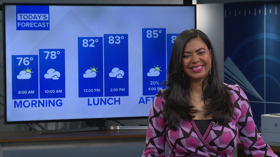 New Orleans Weather: Slightly less humid air with an isolated shower or two | wwltv.com