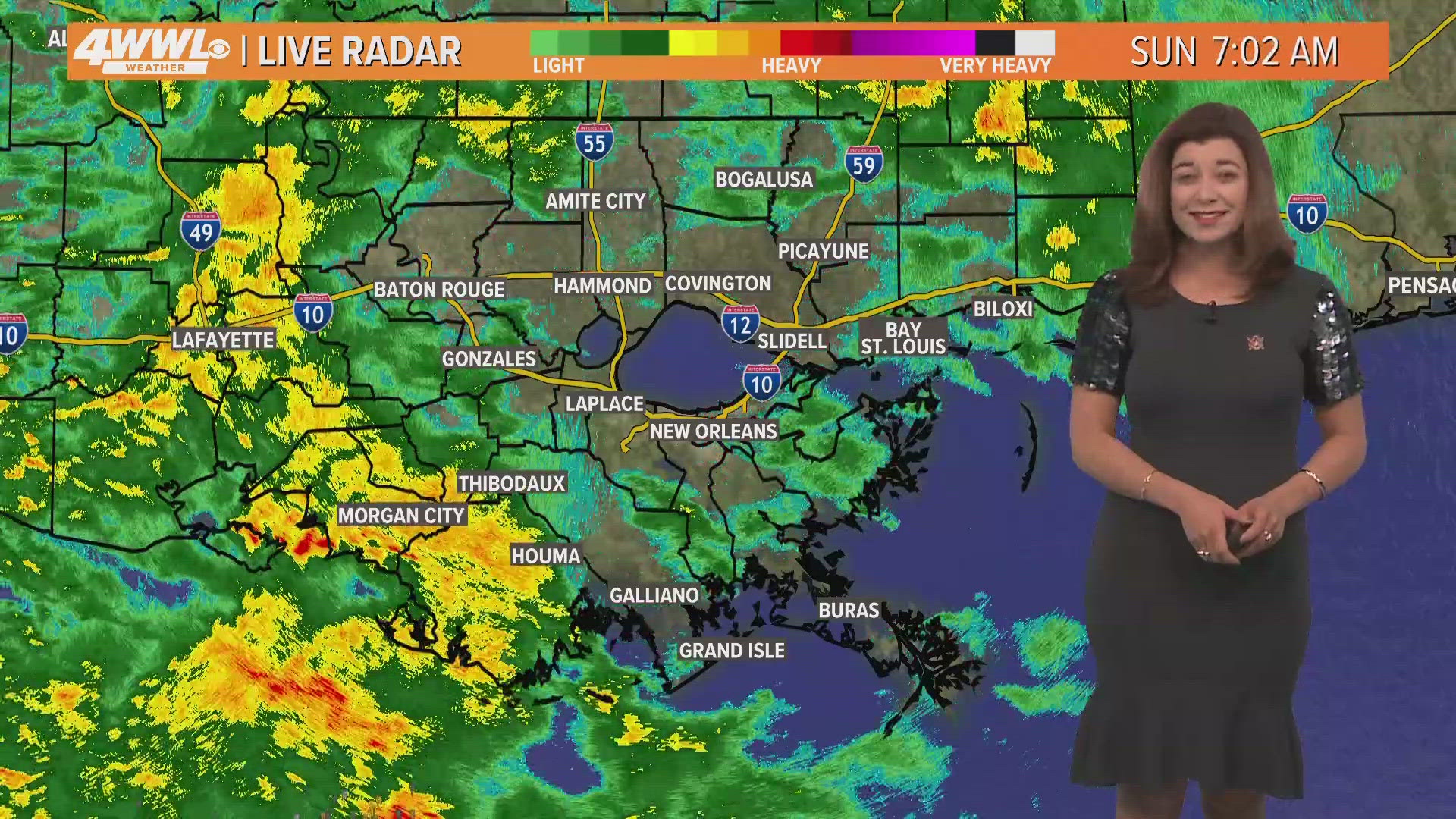 Elusive dog scrim spotted in Mid-City during snowstorm | wwltv.com