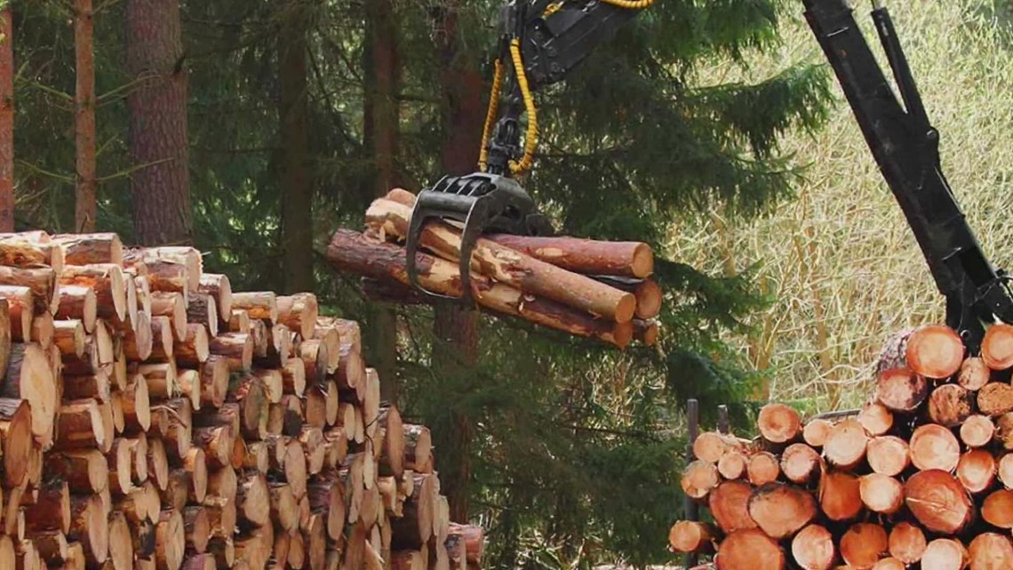 $9 million in logging grants up for grabs in Louisiana | wwltv.com