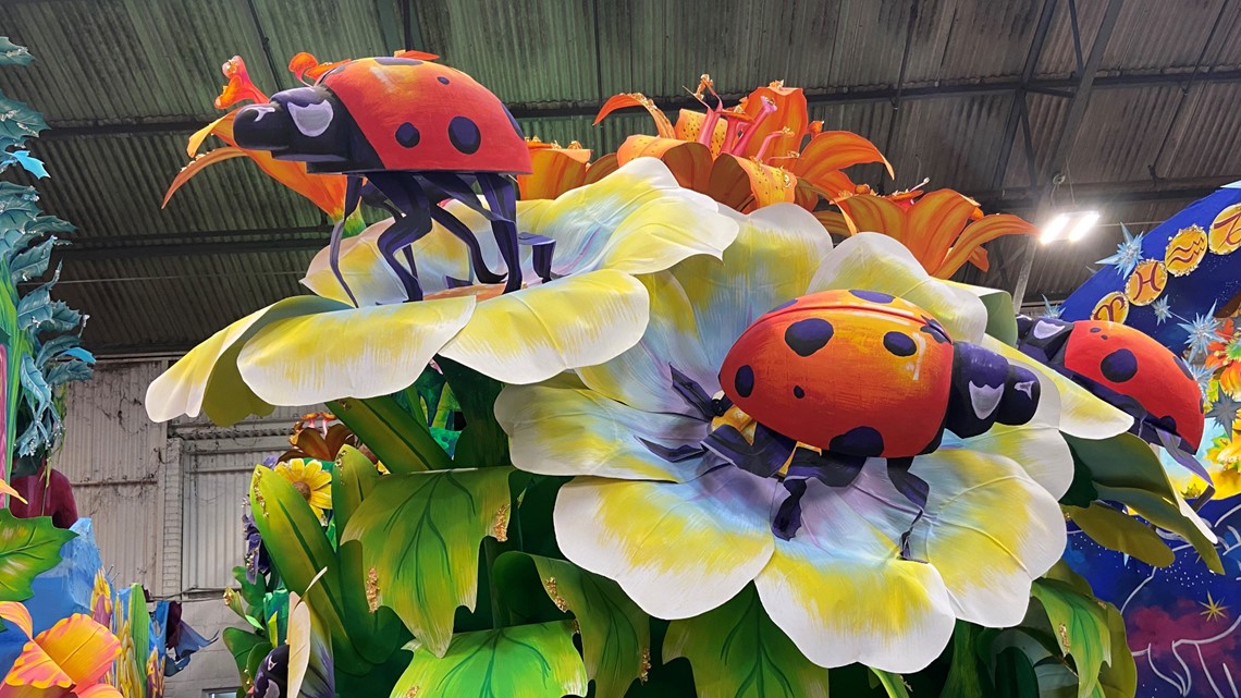 Behind the scenes with the new float builders of Rex 2020 | wwltv.com