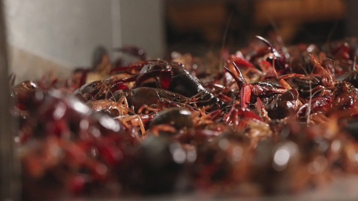 Snow not expected to halt crawfish production in Louisiana | wwltv.com