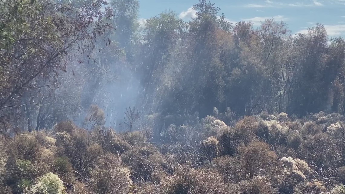 Jean Lafitte marsh fire continues to burn | wwltv.com