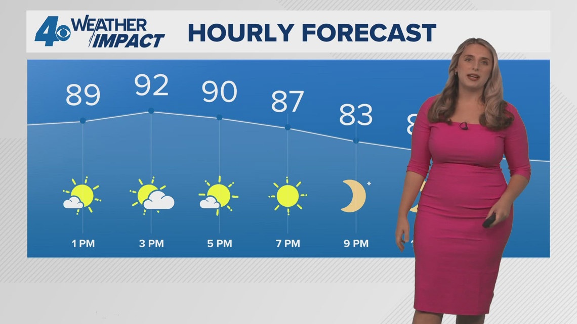 New Orleans Weather: Hot and mostly sunny weather the next few days ...