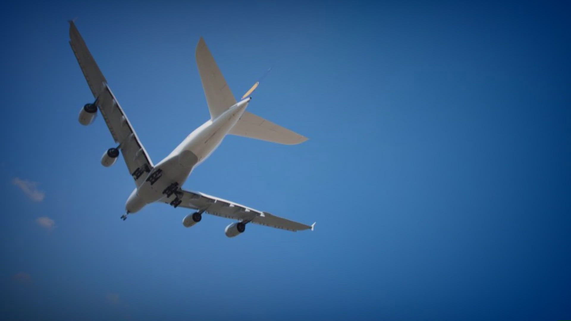 Mayor's Office responds to revived 'travel ban' ordinance | wwltv.com