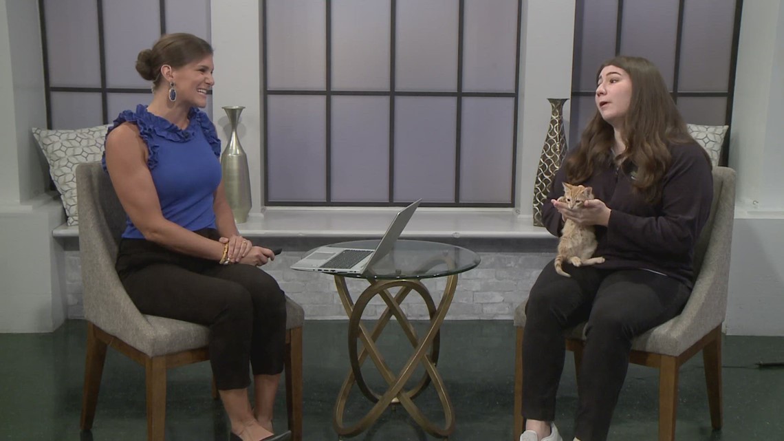 LSPCA with lost pet tips | wwltv.com