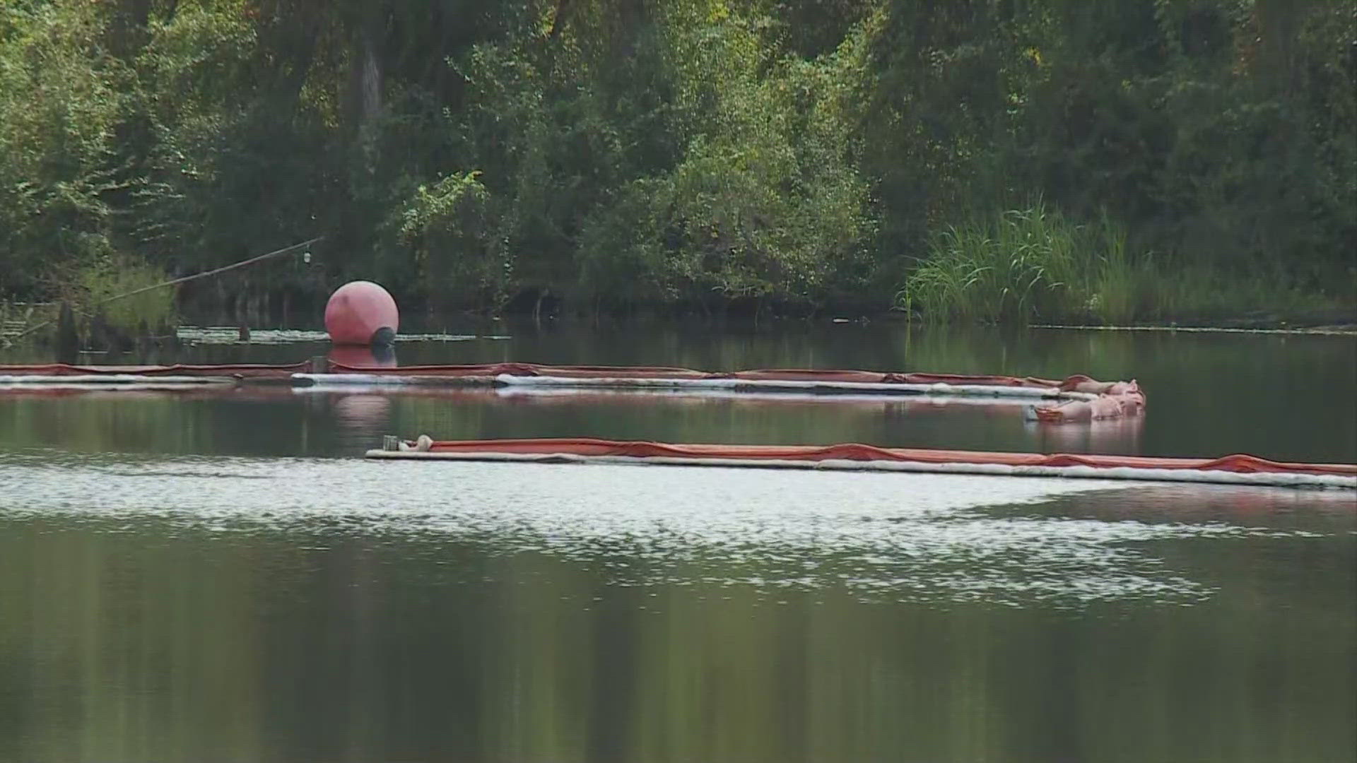 Background, age of Landry appointee draws attention | wwltv.com