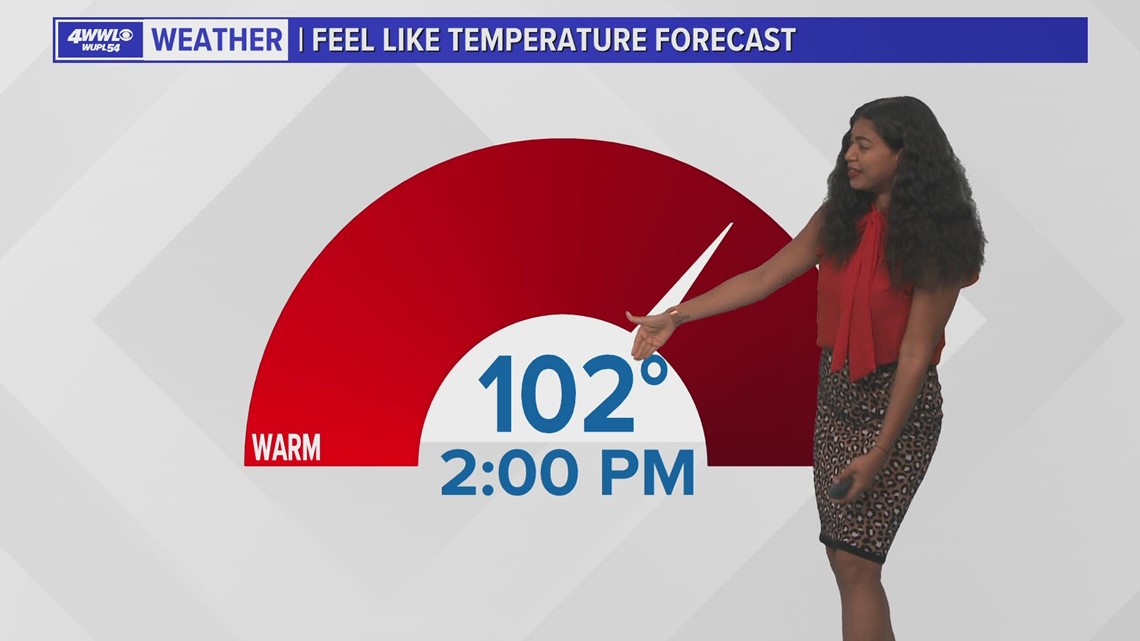 Former mayor Ray Nagin released from prison, capping infamous New ...